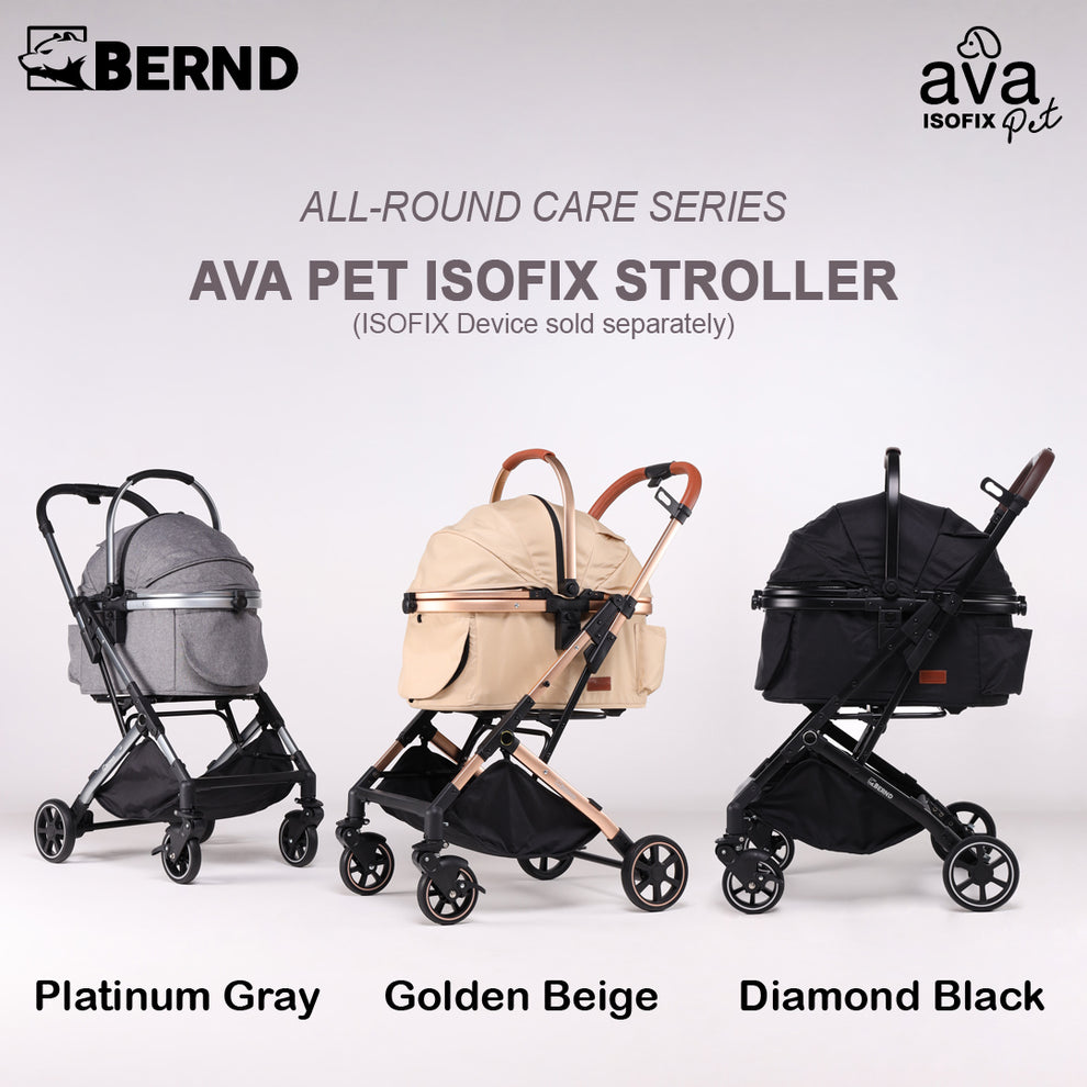 Ava – Borky Dorks Pte Ltd