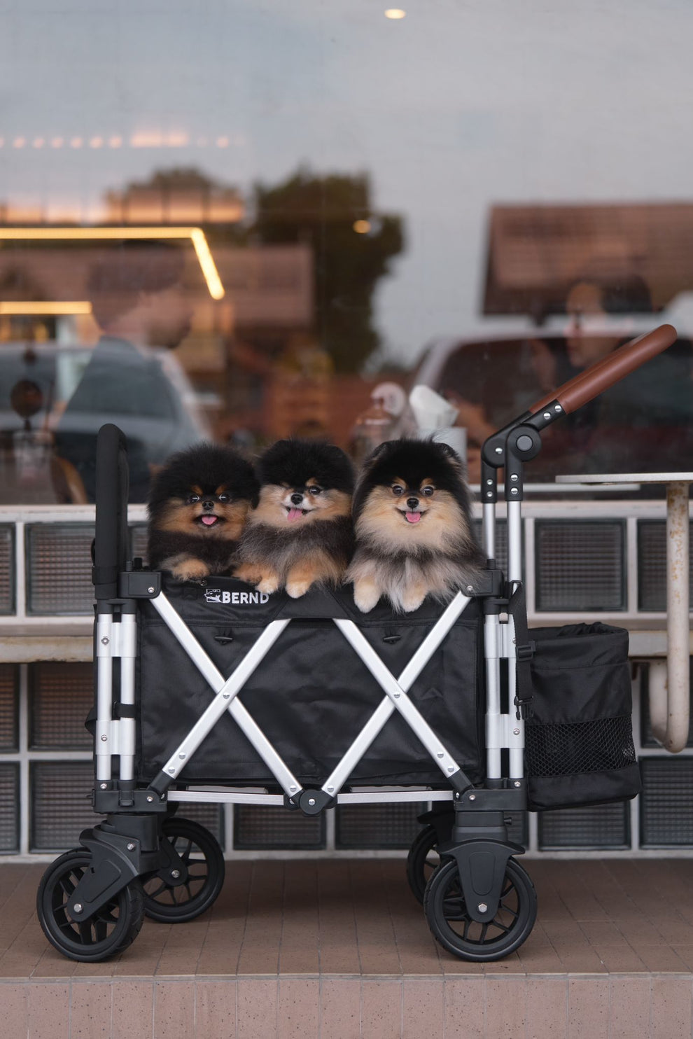 Bloom Nano – Borky Dorks Pte Ltd