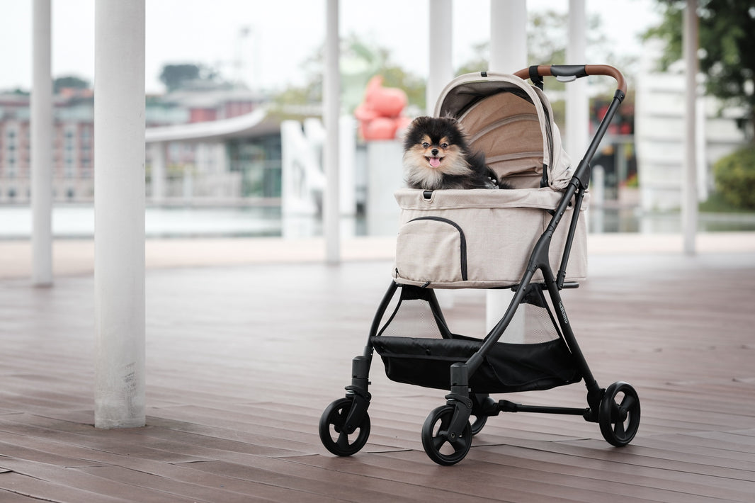 Bernd Pet Strollers – Borky Dorks Pte Ltd